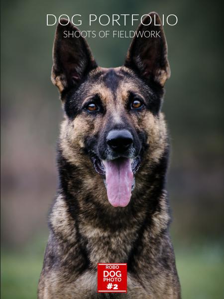 DOG PORTFOLIO - Shoots of fieldwork