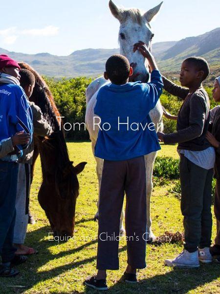 Tom Ro Haven - Equine and Children's Charity
